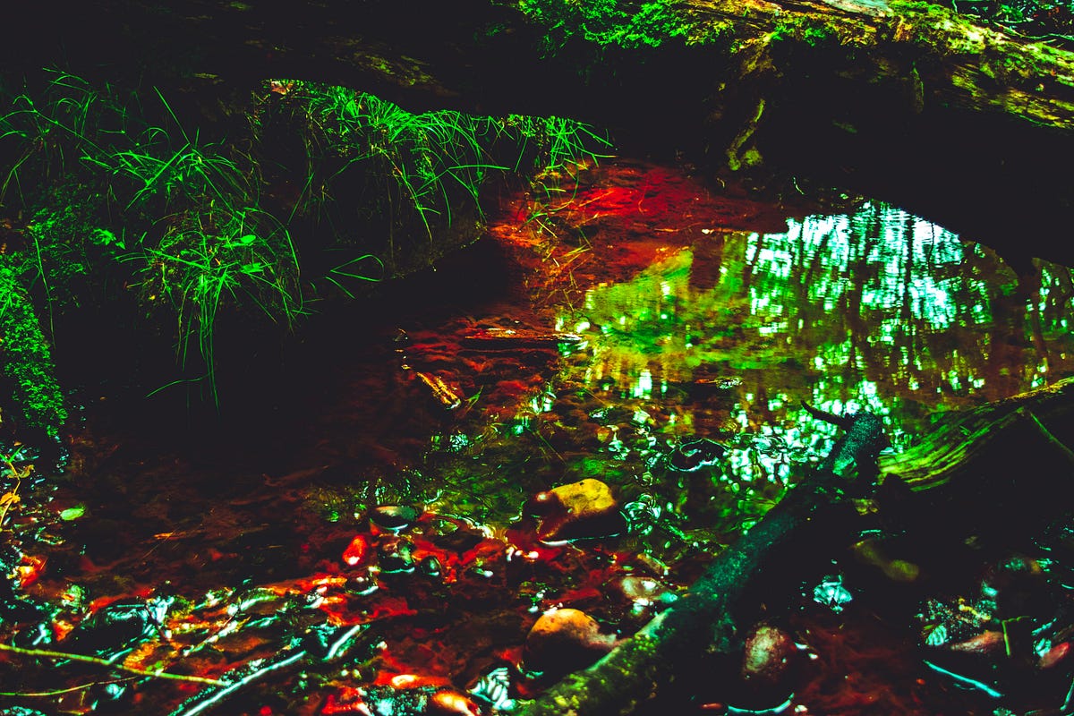 pools of perspiration. … | by Franco Amati | Scuzzbucket | Medium