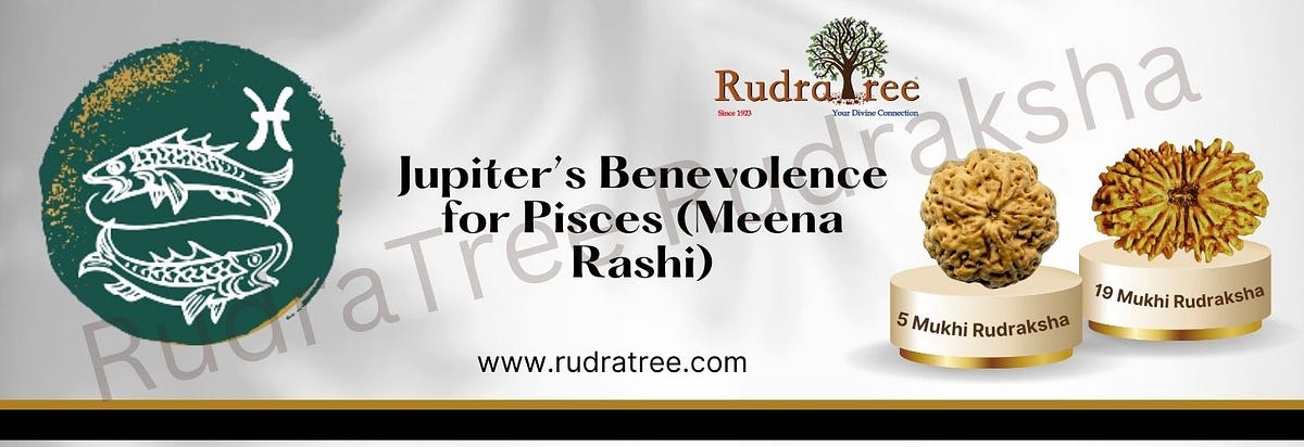which rudraksha is best for Meena rashi | by RudraTree | Medium