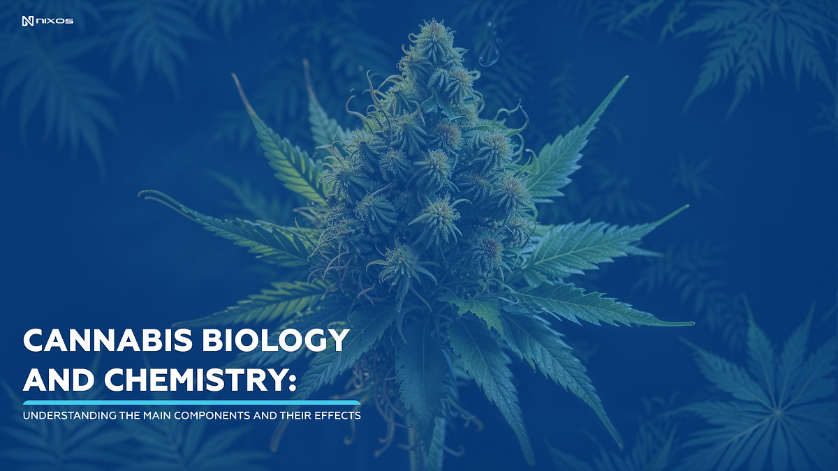 Cannabis biology and chemistry: understanding the main components and ...