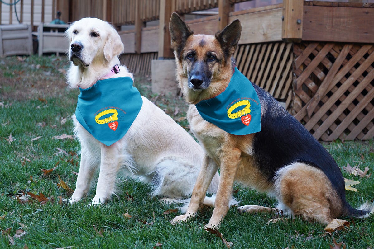 Therapy Dogs in Writing Centers. The Emotional Influence of Therapy ...