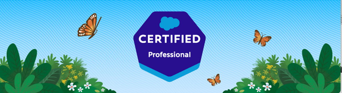 Navigating the Salesforce Ecosystem with a Roadmap | by Lolla Ahmed ...