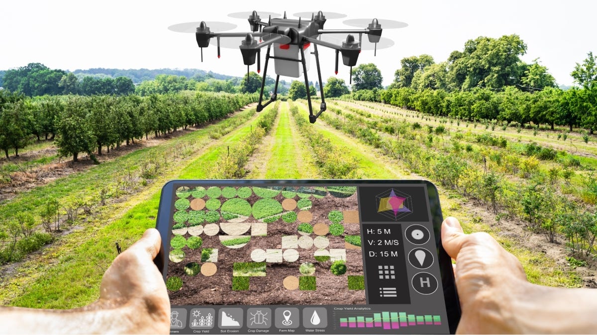 Care, time and attention. Let’s talk about precision agriculture | by ...