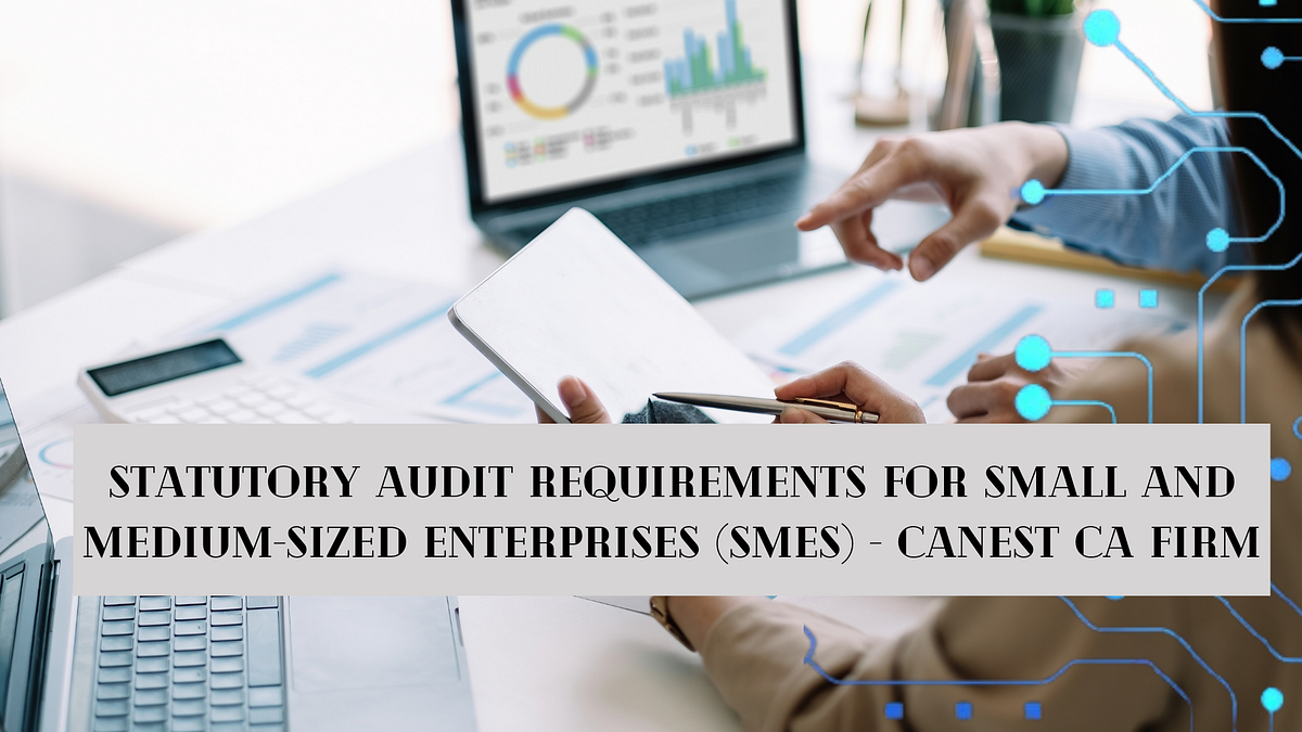 Statutory Audit Requirements for Small and Medium-sized Enterprises ...