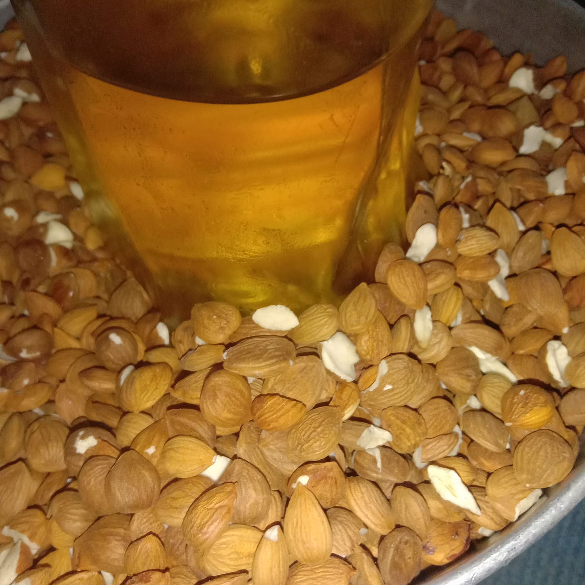 Hazelnuts, those delightful tree nuts native to the eastern half of ...