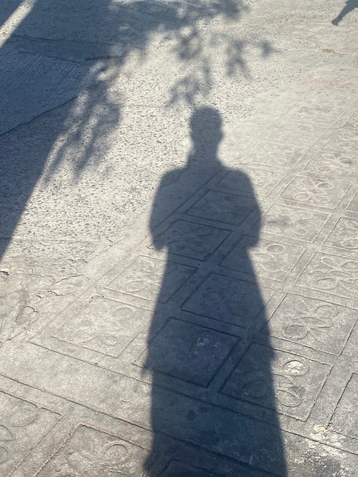 INTROVERT - Izon Lozada - Medium