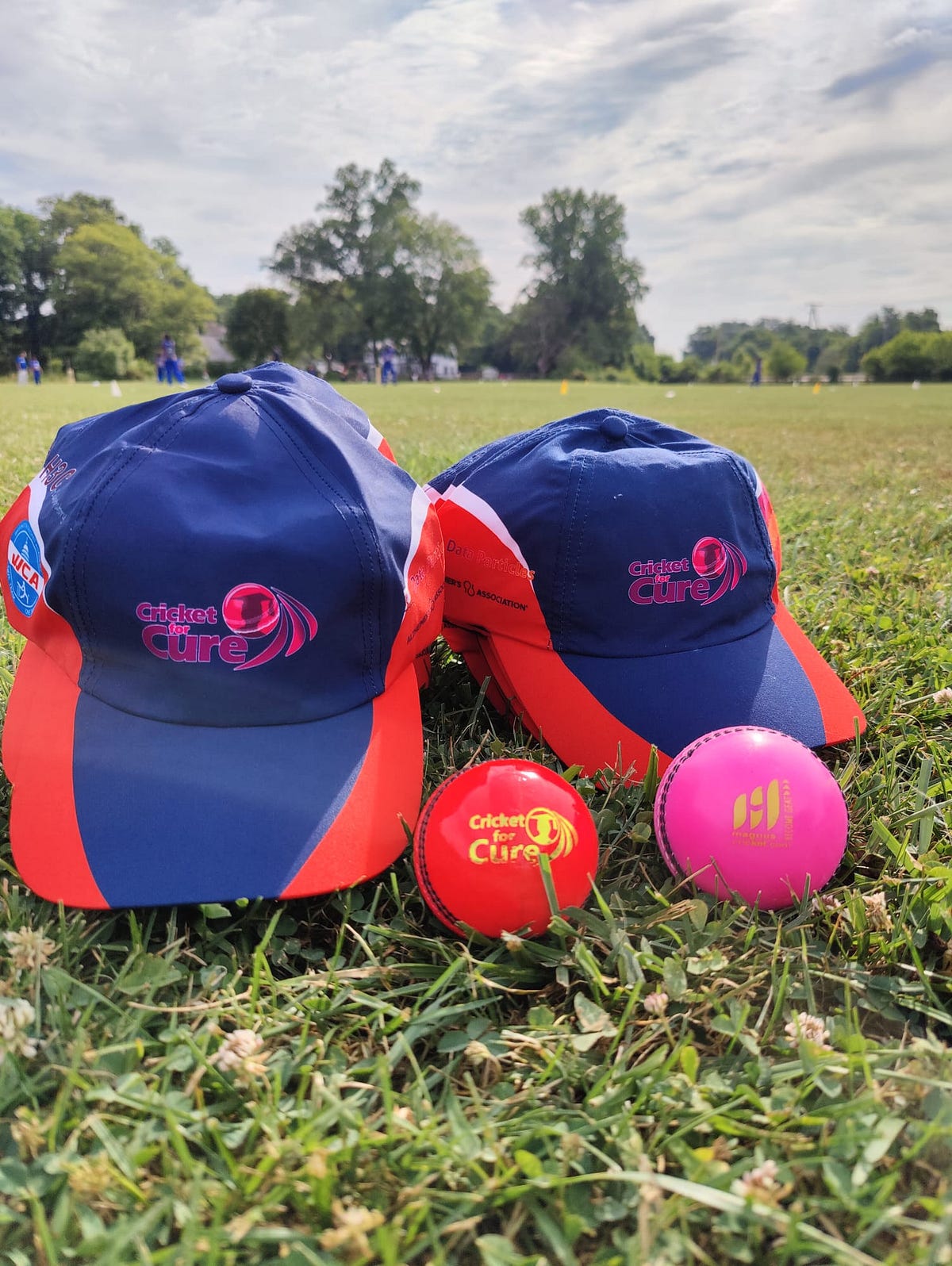 Youth Sports Takes Center Stage: “Cricket for Cure” Tackles Alzheimer’s ...
