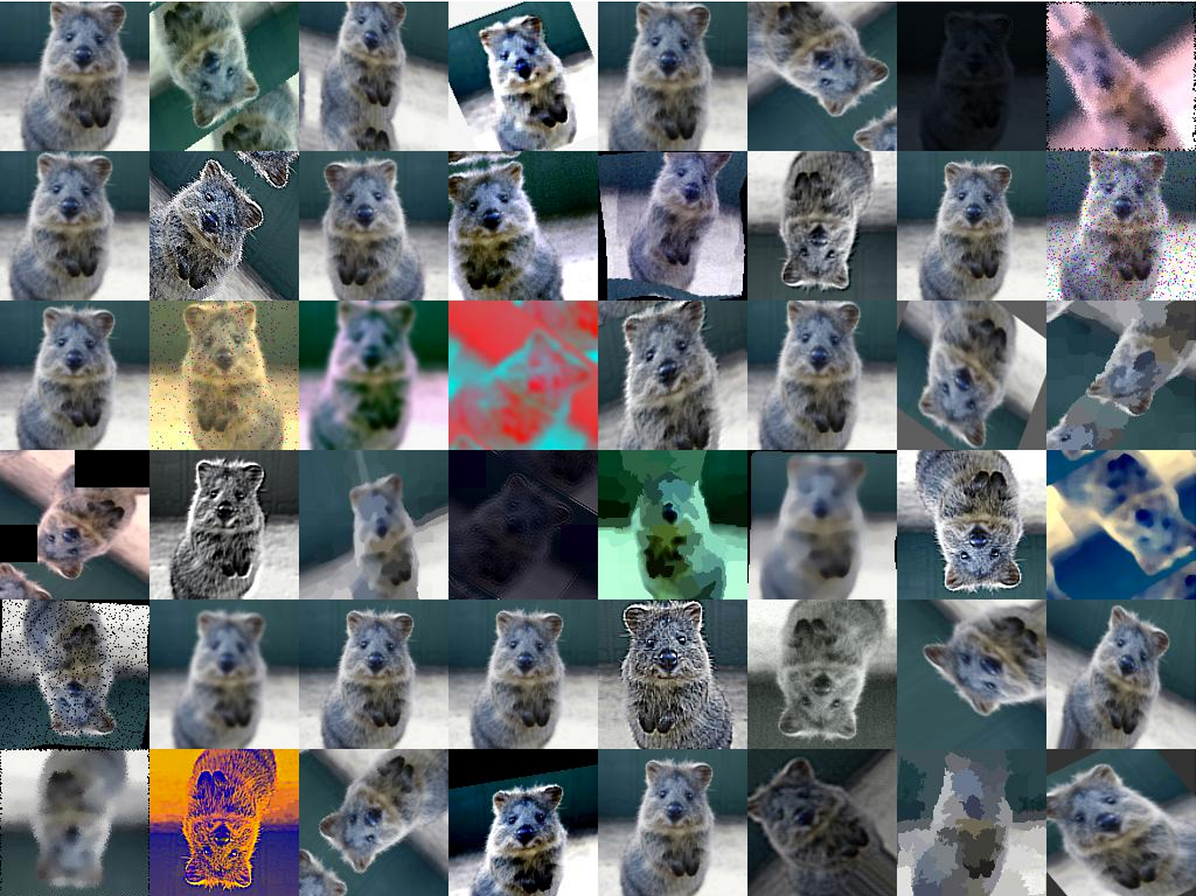 Image Augmentation for Deep Learning using Keras and Histogram Equalization | by Ryan Allred ...
