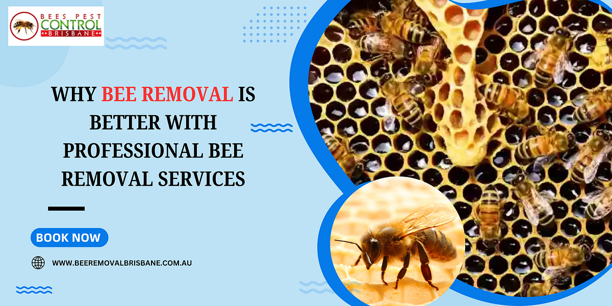 Why Bee Removal is Better with Professional Bee Removal Services | by ...