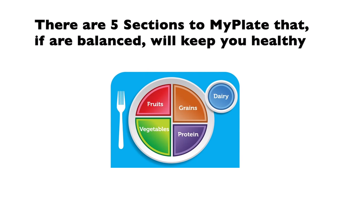 Balanced diet plate for healthy life | by Tips Enhanced | Medium