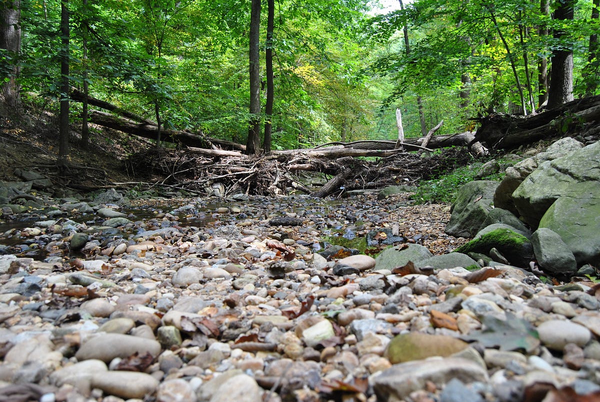 Breaking Down the Layers of the Human Body | by Umair Saleheen | Medium