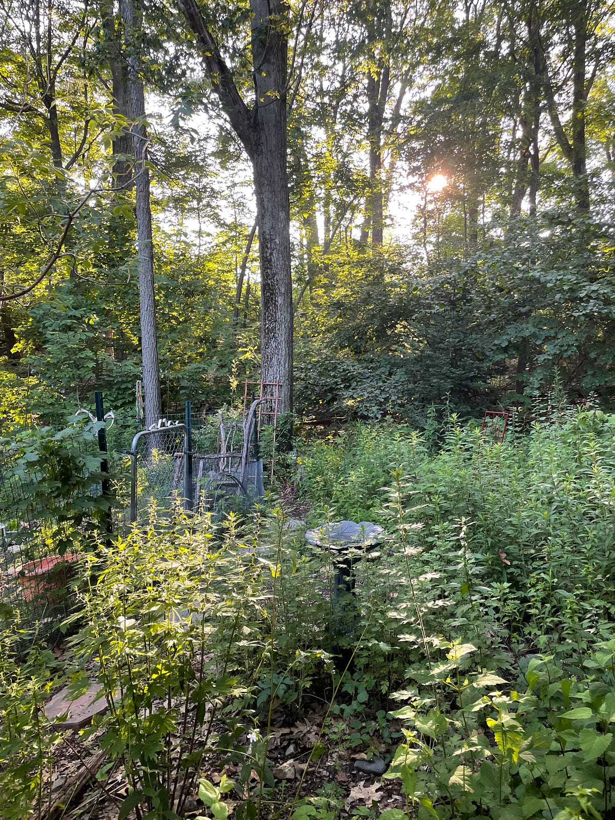 Lawns are Out. Habitat is In.. I have a confession to make: I don’t ...