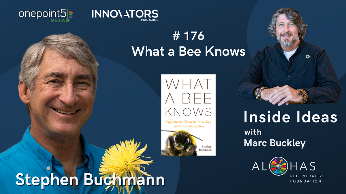 Why we need to pay attention to bees | by Marc Buckley | Inside Ideas ...