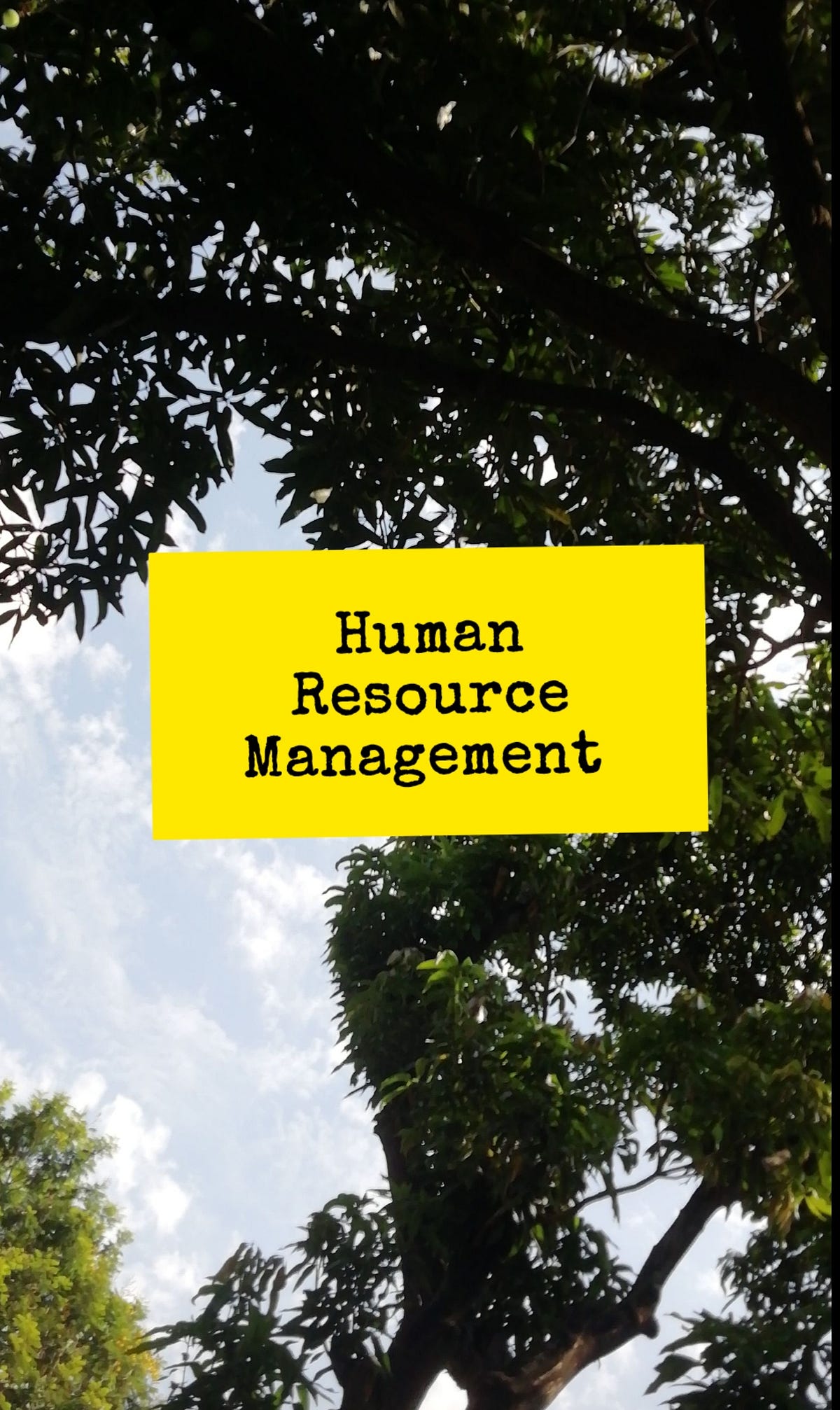 Greetings, fellow learners and aspiring HR leaders! | by Mimansa | Medium