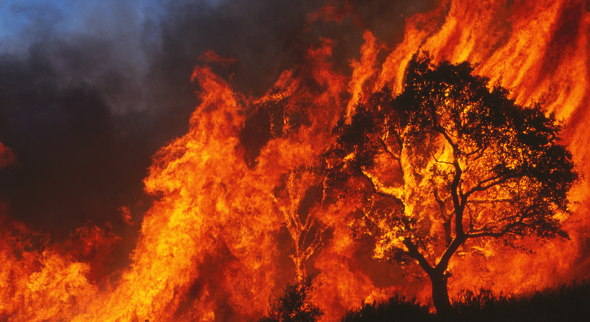 Lingering poison: how wildfire toxins hitch a ride in the clouds | by ...
