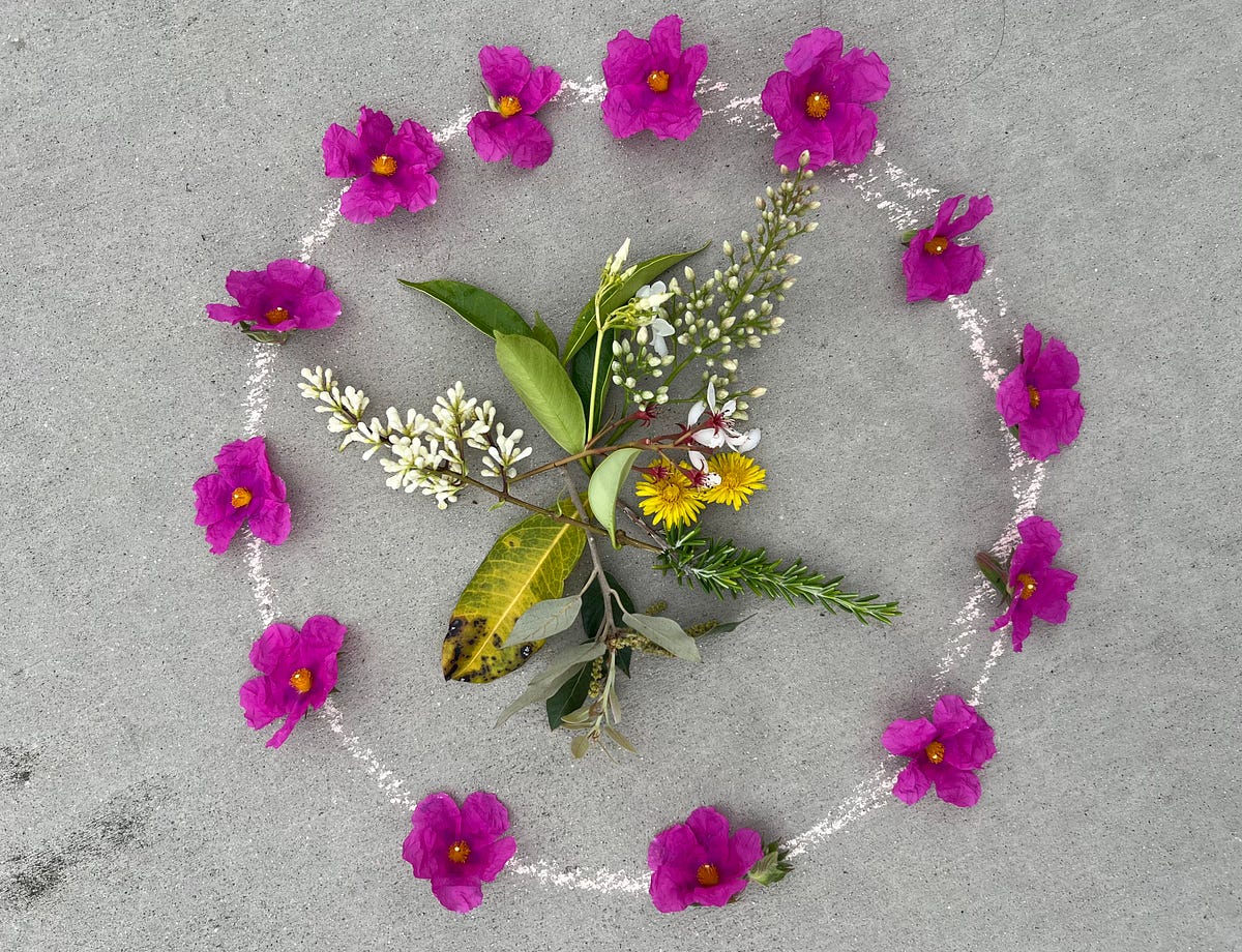 Bird Nest Spotting And Dandelion Picking | by Dr. Seema Patel (PhD ...