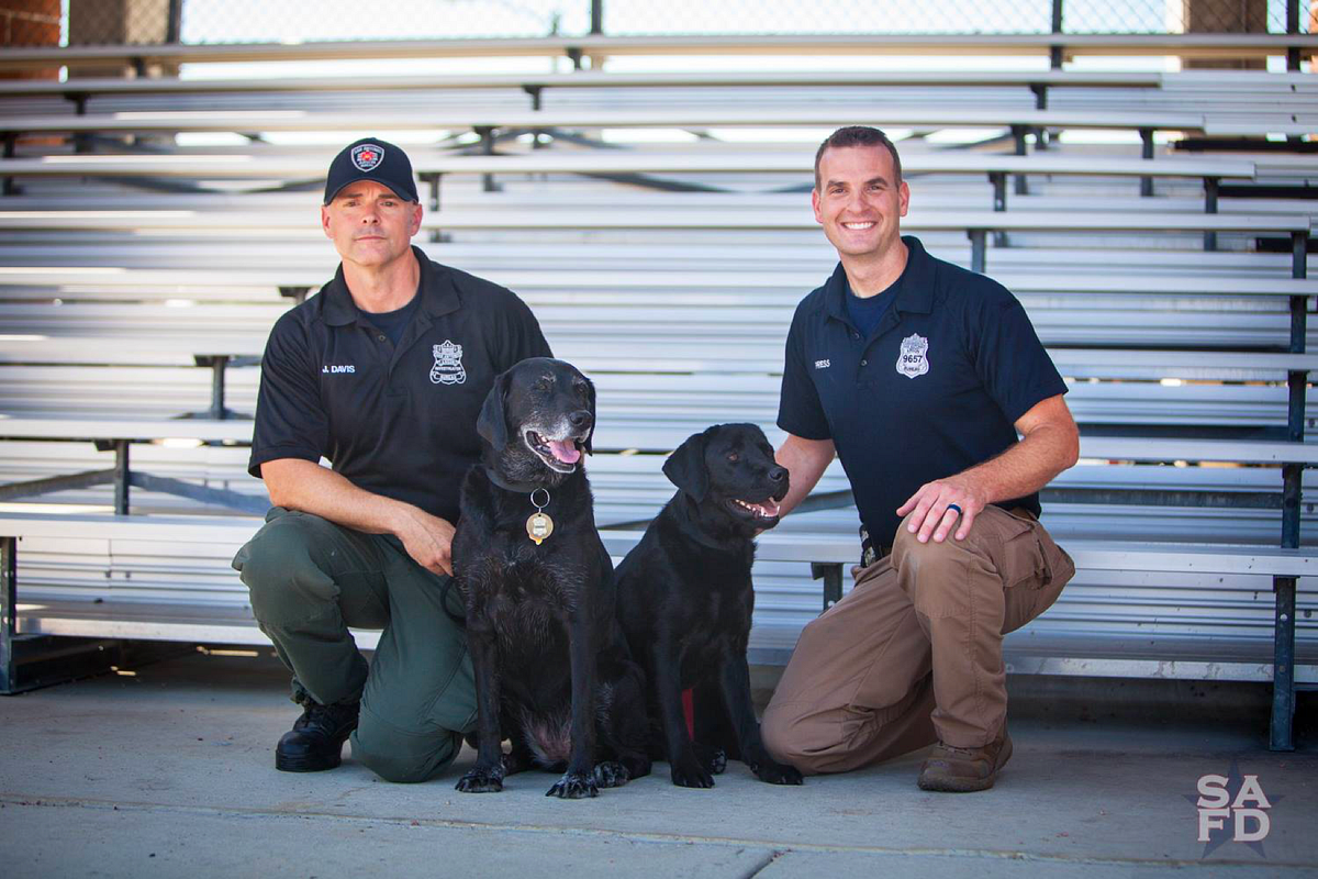 Sniffing out crime: Dogs assist SAFD with arson investigations | by ...