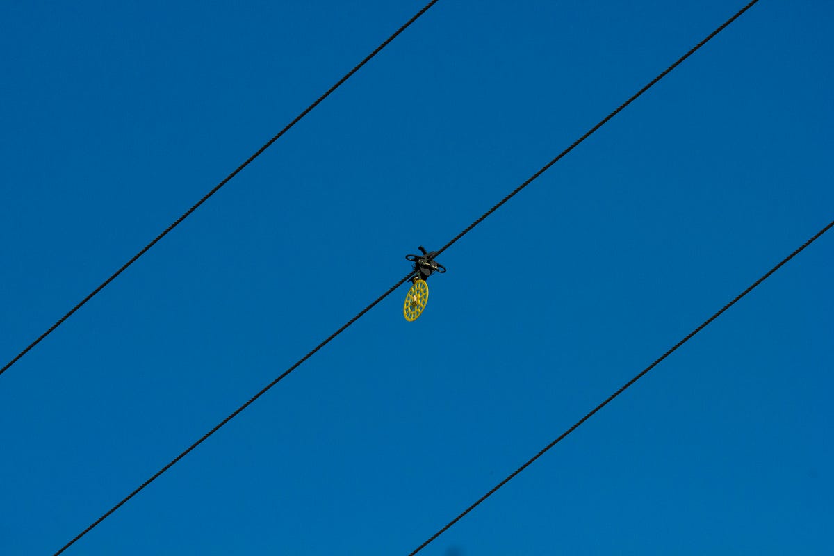 Power Line Disks. Kruger National Park is a large piece… | by Molly Lea ...