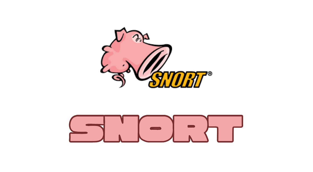 Install and Configure Snort: Real-Time Network Monitoring Setup | by ...