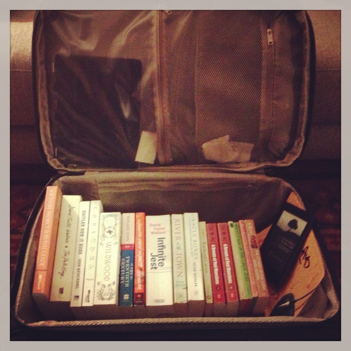 Reading on the Go: A Lighter Experience | by Alexandra Seaborn ...