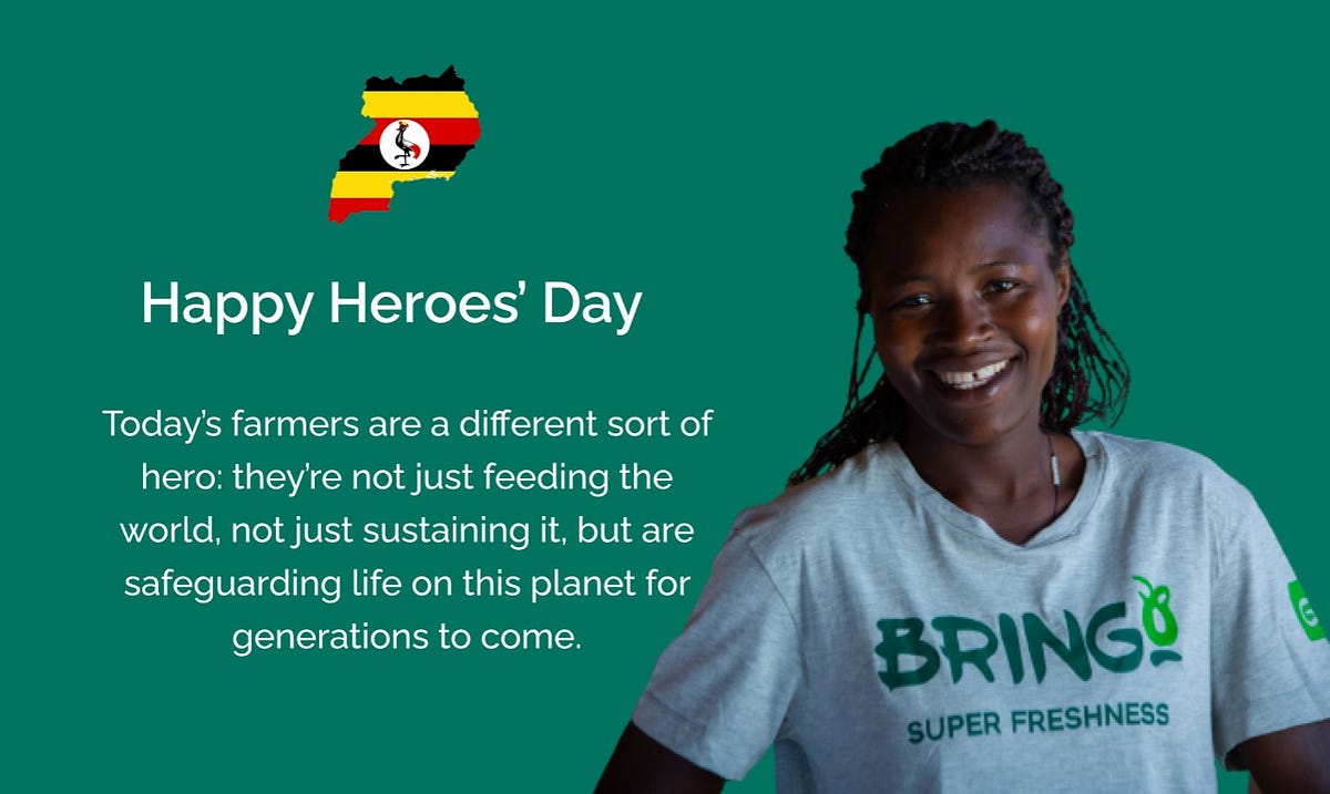 Farmers — The heroes we need for a sustainable future | by Bringo Fresh | Jun, 2023 | Medium