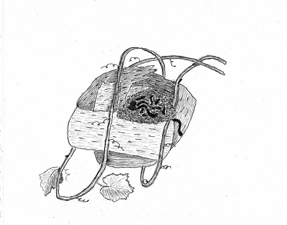 Discover - 2-Bite Stories - Medium