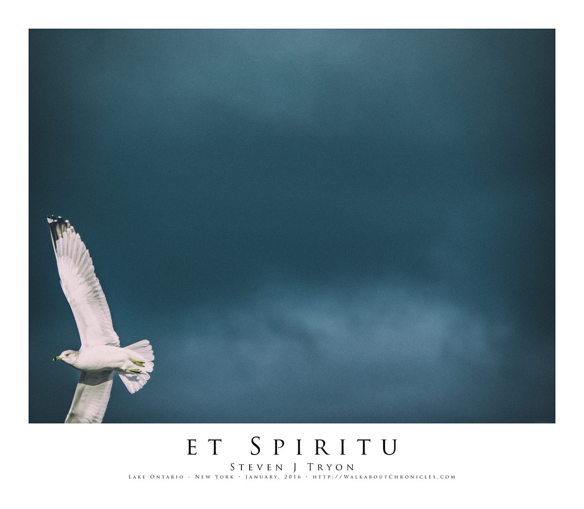 et Spiritu | by Steven J. Tryon | Medium