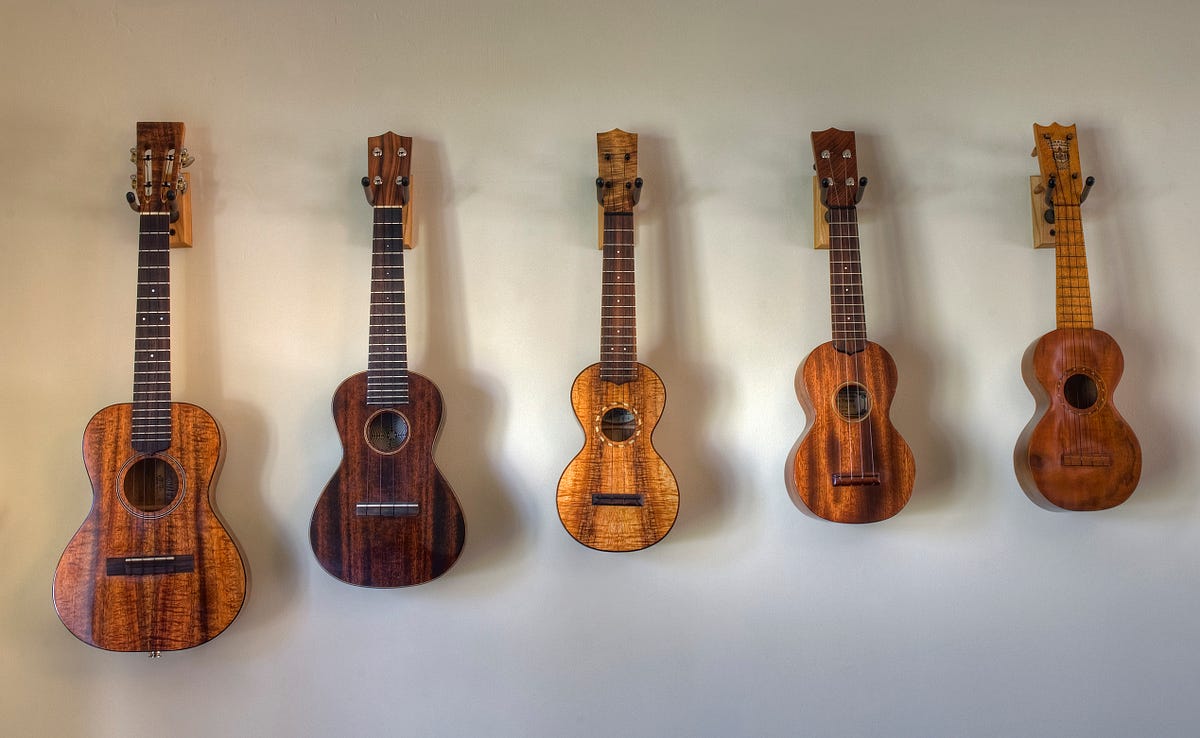 Why Ukes?. Ukes have been BUZZING lately in the… | by Reprogram | Medium