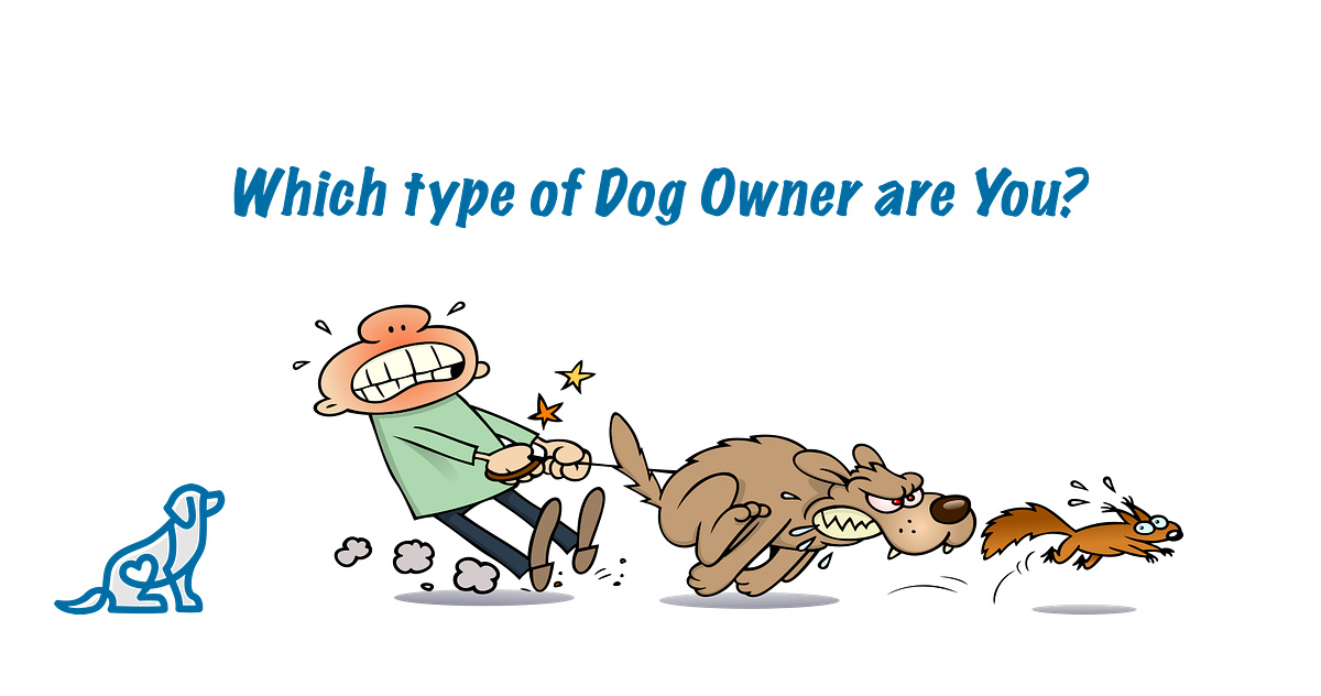 Is Your Dog a Squirrel Chaser?. Dogs are amazing creatures. They make ...