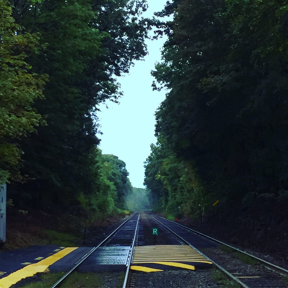 Thinking Green, Seeing Red, and Feeling Blue: A Spectrum of Emotions in ...