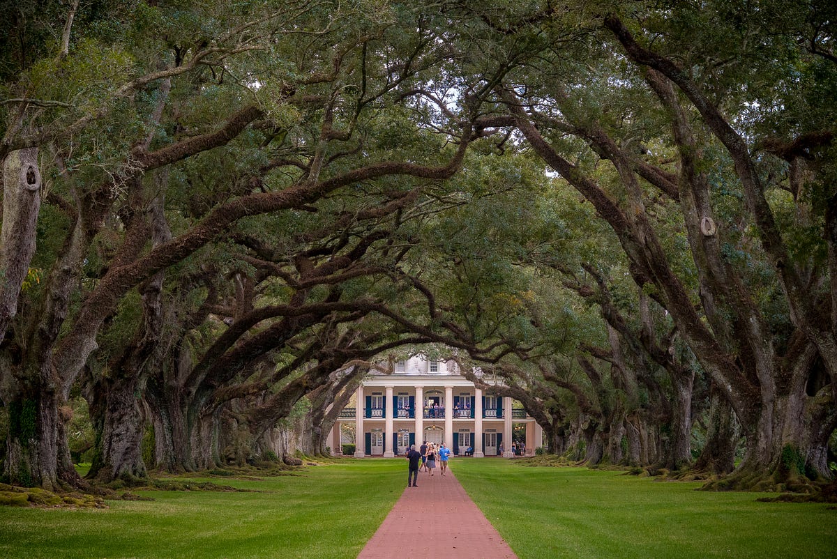 🎺 NEW ORLEANS: The One with the Huckleberry Finn Fetish | by Sharyn's ...