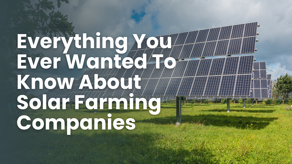 Everything You Ever Wanted To Know About Solar Farming Companies | by Brogan Lambert | Medium