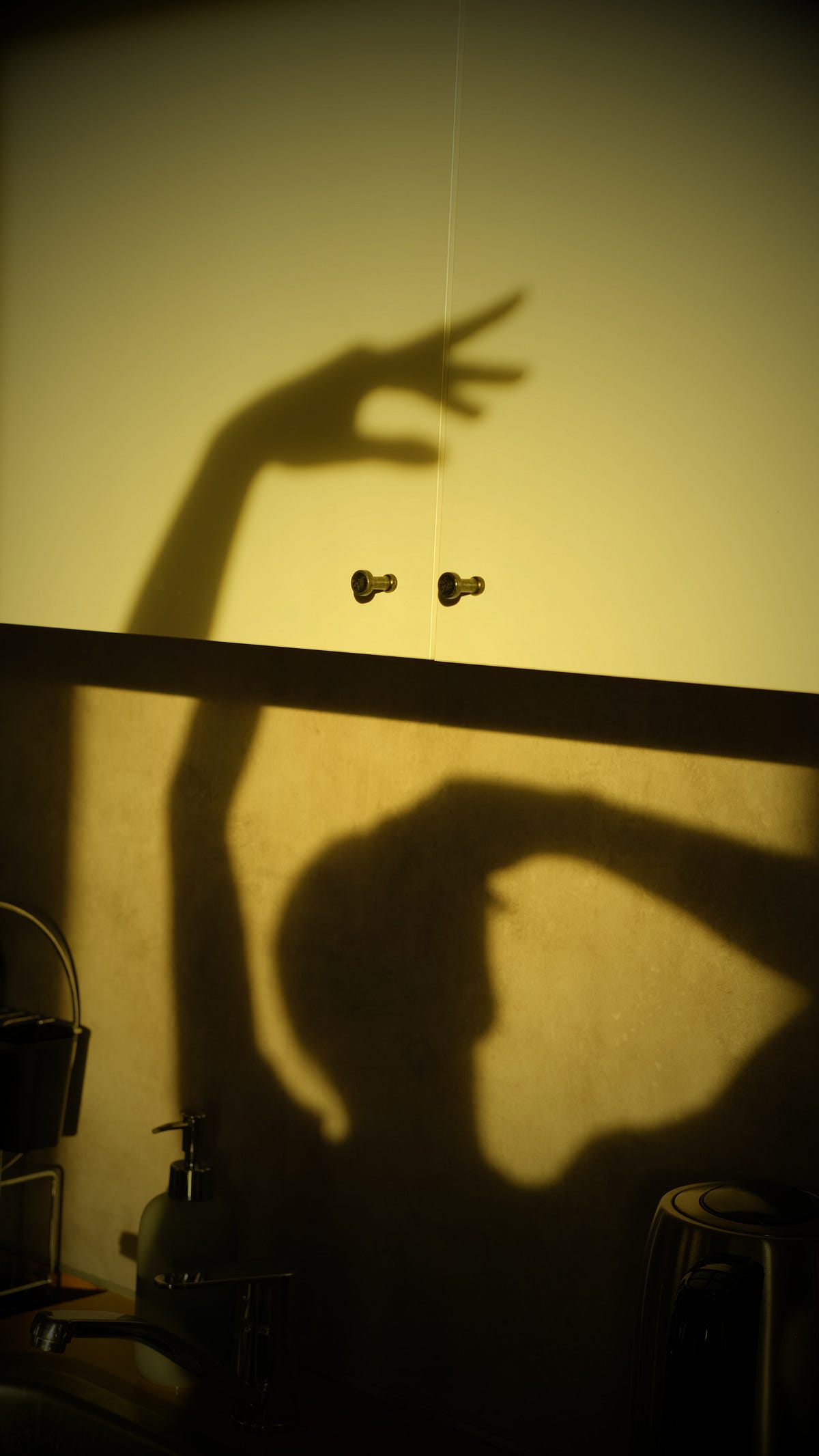Unveiling the shadows secrets. Embracing our shadow | by David Olu | Medium
