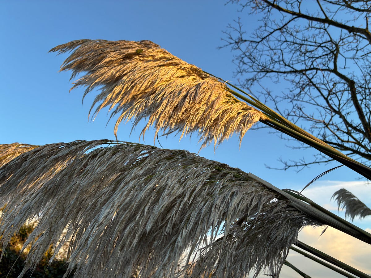 Light Shifts Contrast Lives | Penny Grubb | Six Word Photo Story Challenge