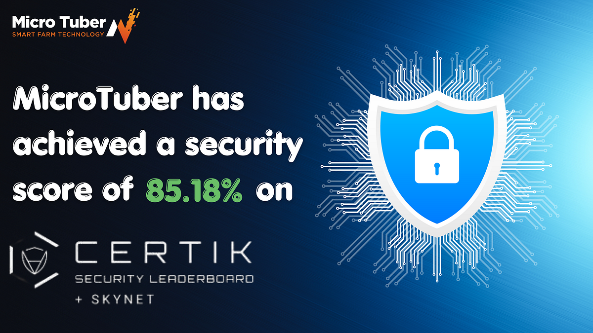 Microtuber Skynet Security Score. As we know Auditing is an important ...