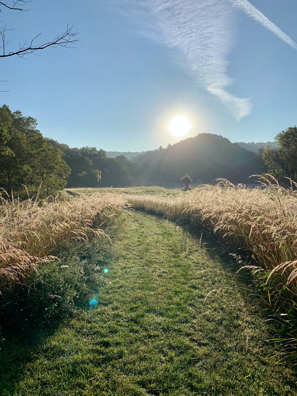 Is Nature Boring? 20 Tips for Quality Outdoor Time | The New Outdoors