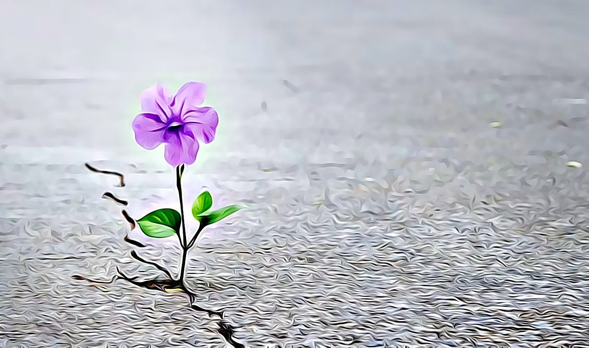 A wait for hope.. Educate me, not of only what you see… | by Aisha Aminu | Medium