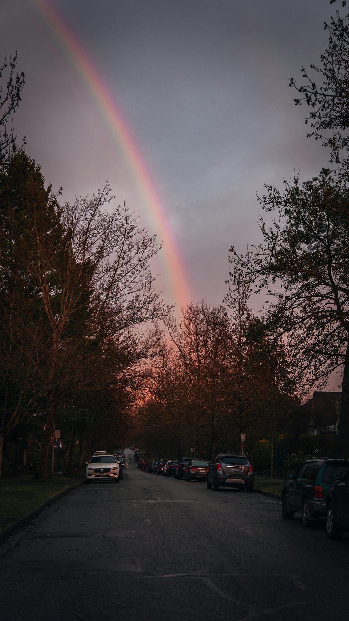 Rainbow - Pragya Shahi - Medium