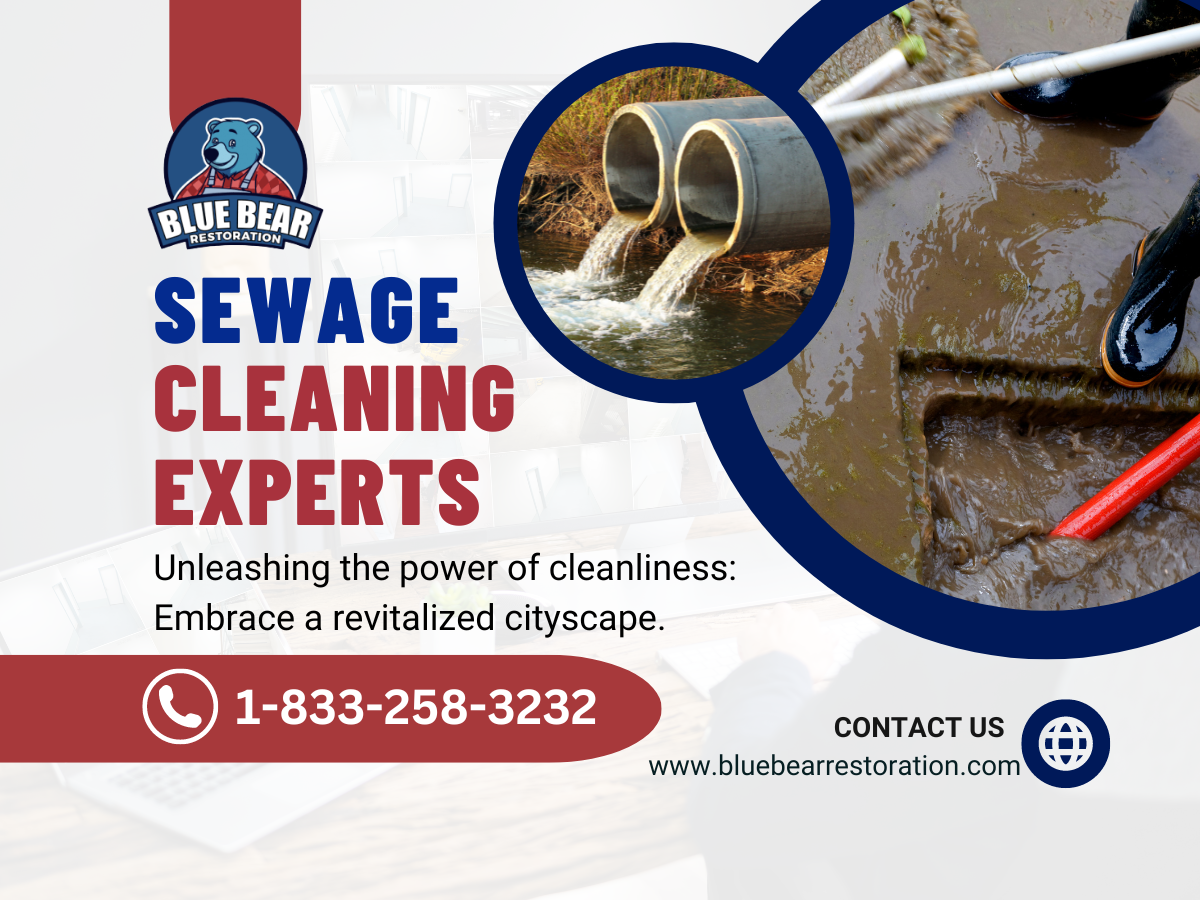 Sewage Cleanup by Professional Sewage Cleaners, Rochester, NY - Blue ...