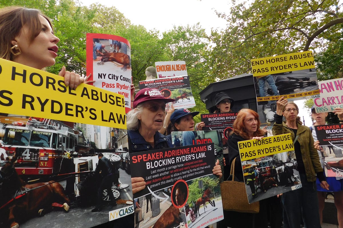 Ryder’s Law Threatens Jobs of NYC Carriage Drivers | by Aleah Gatto ...