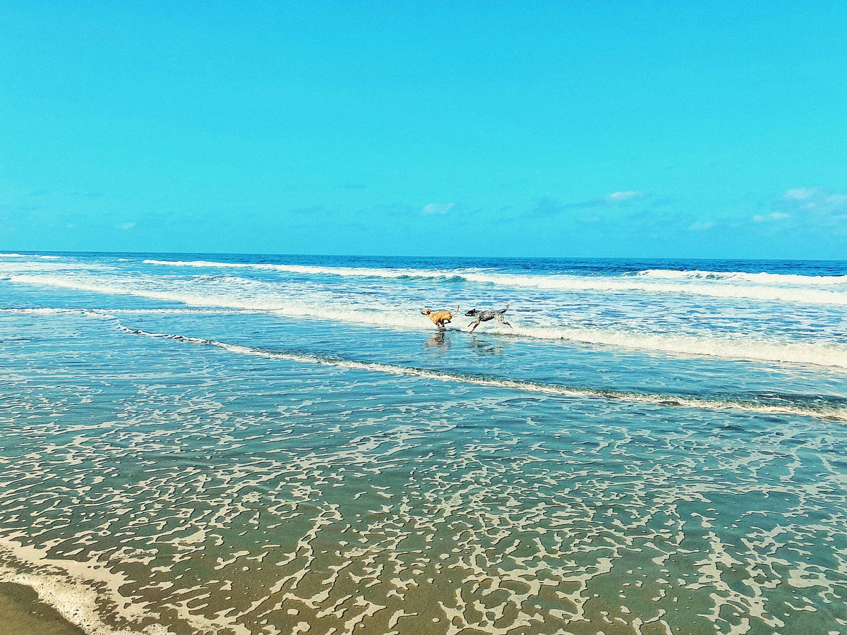 El mar. Me encanta que sepas salirte del borde… | by Sara Jaramillo ...
