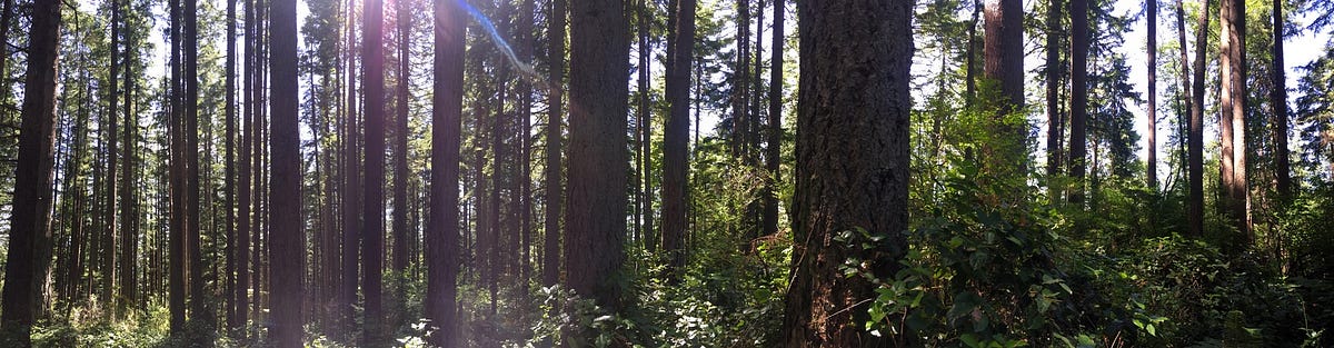 Walking Away from Depression and Anxiety | by Wayne Tapia | Medium