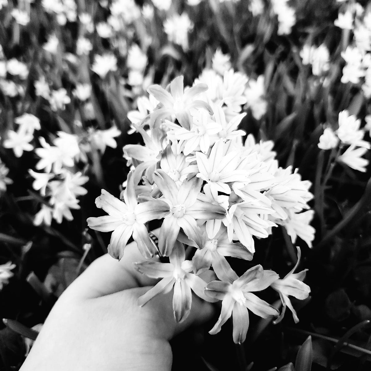 Sad Story (for drama class). TW: Graphic content, description of… | by ...