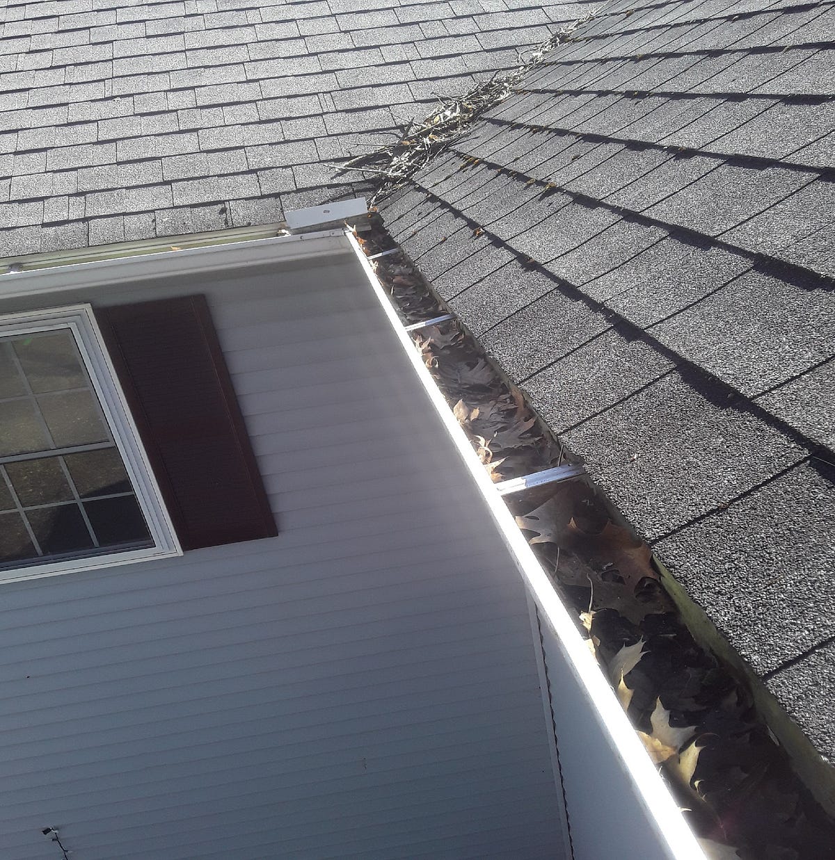 Get your gutters cleaned today not tomorrow | by Suzanneroge | Medium