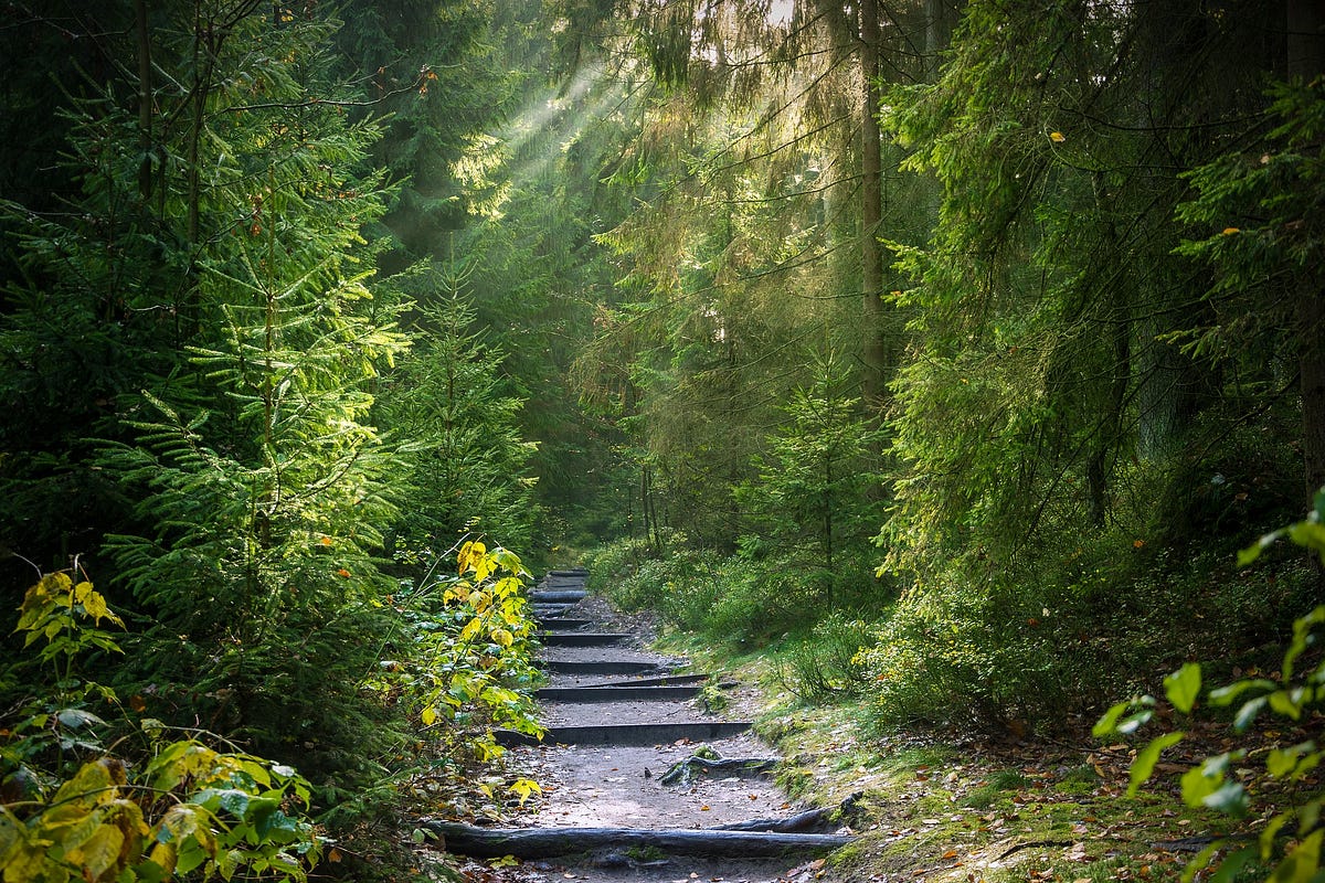 What is Nature-Based Awakening?. Allow nature to take the wheel ...