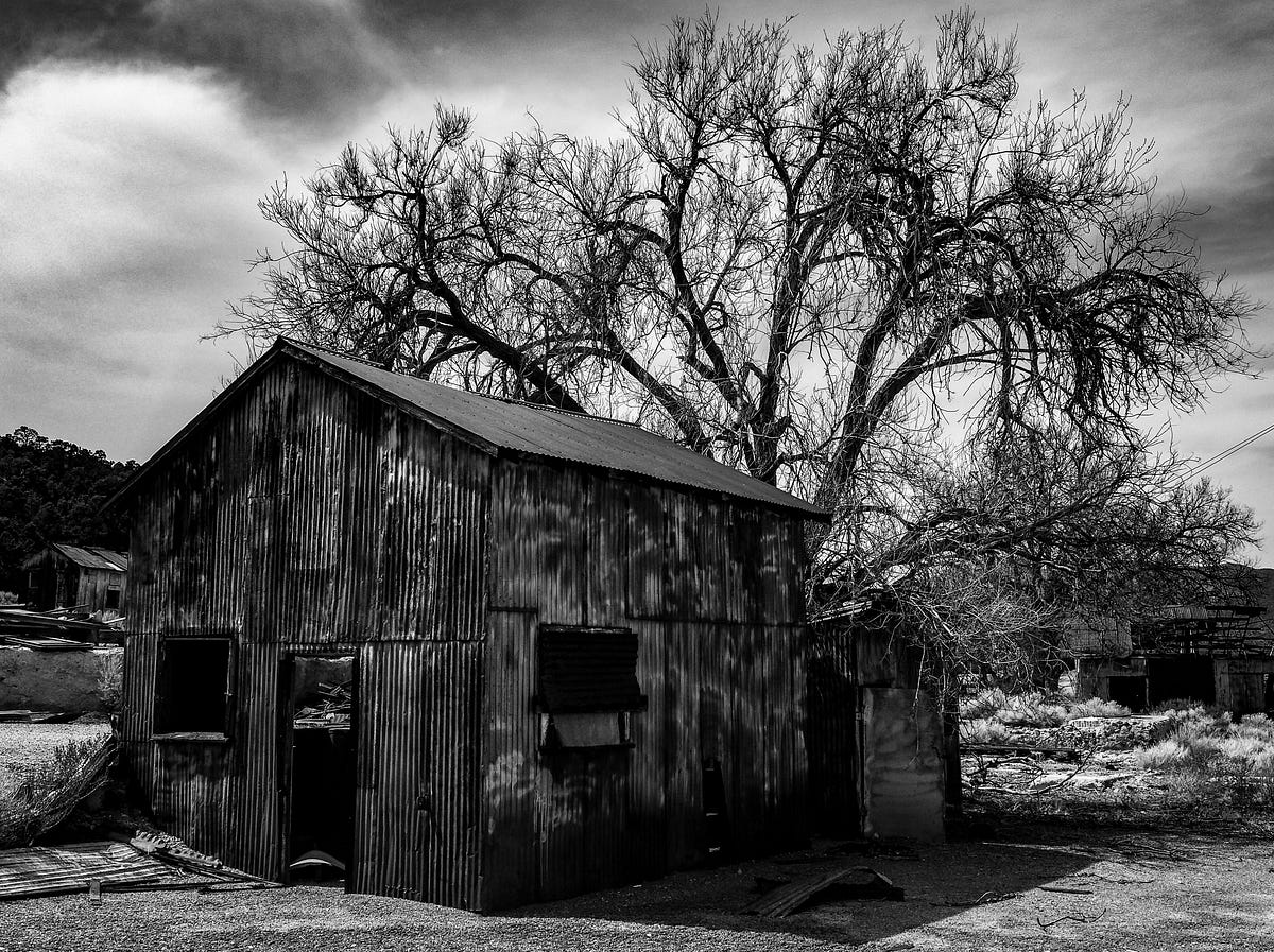 Mine - Nicholas Bagley - Medium