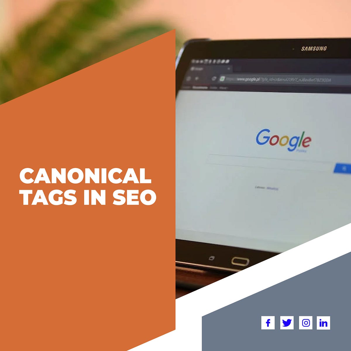 Canonical Tags in SEO. Canonical tags play a crucial role in… | by Roy ...