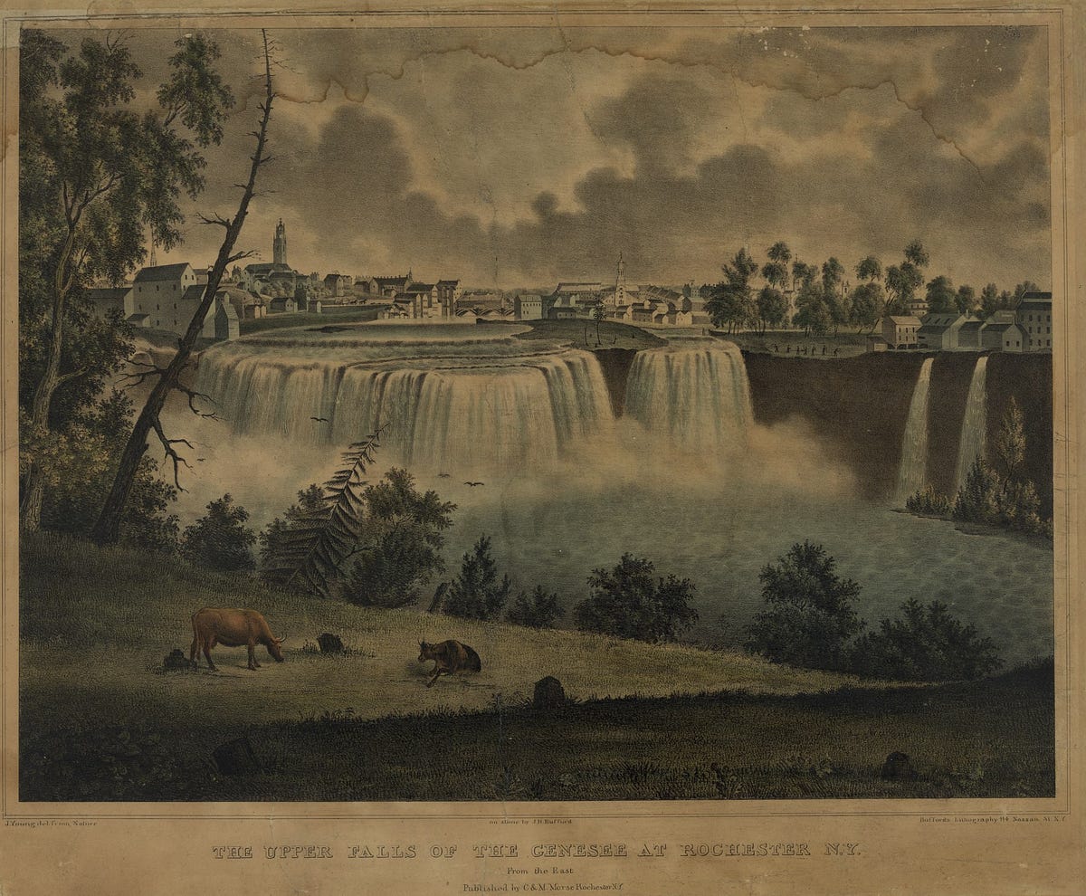 No Better Soil. In the first half of the 19th century… | by Ed Ayers ...
