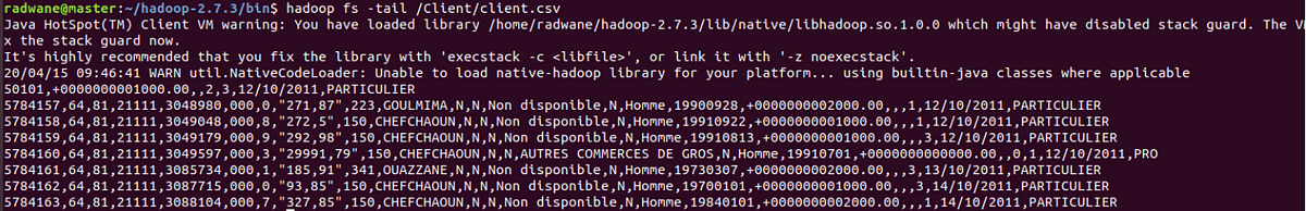 How to execute Mapreduce tasks using python. | by Radwane lourhmati ...