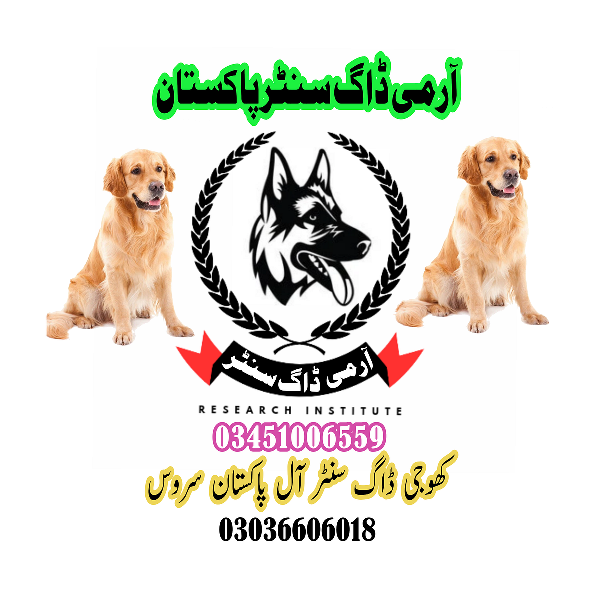 Army Dog Center Kharian 03217381700 | by Army Dog Center Pakistan ...