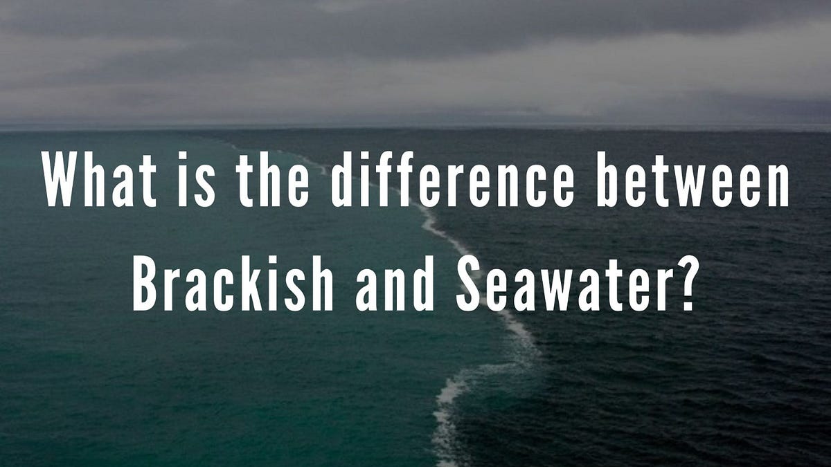 What is the difference between Brackish and Seawater? | by Ro Care | Medium